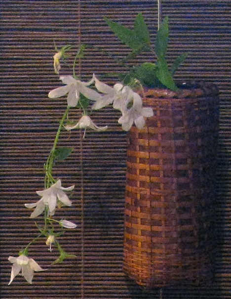 Chado: Tea Ceremony Ikebana - Ikebana International